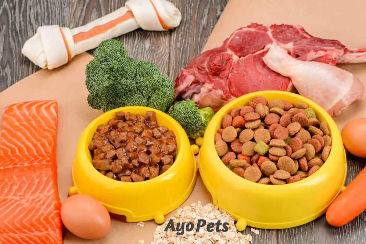 Is It Cheaper To Make Your Own Dog Food Cost Guide With Tables Ayo Pets