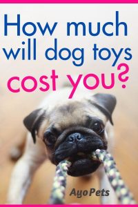 Dog Toy Prices: How Much Toys Really Cost | Ayo Pets