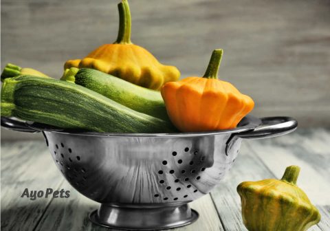 29 Vegetables Dogs Can Eat: Full List With Serving Suggestions | Ayo Pets